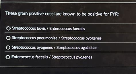 Solved These Sram Positive Cocci Are Known To Be Positive