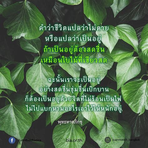 คำว่าชีวิตแปลว่าไม่ตายหรือแปลว่าเป็นอยู่ ถ้าเป็นอยู่ต้องสดชื่น เหมือนใบไม้ที่เขียวสดเพราะมันมี