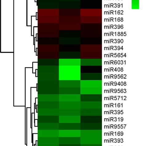 Pipeline For Lncrnas Identification From Rna Seq Data Download