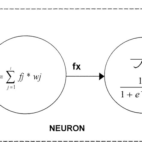 Schematic Representation Of A Simple Neuron Download Scientific Diagram