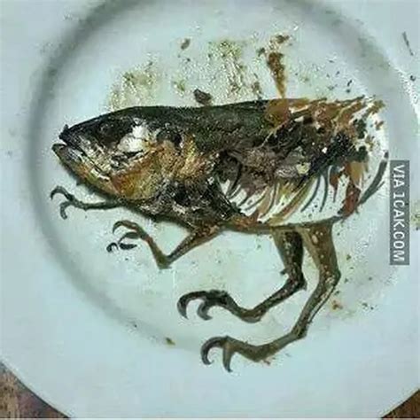 6 Makanan Olahan Ikan Ini Nyeleneh Bikin Hilang Nafsu Makan Hot Liputan6 Com