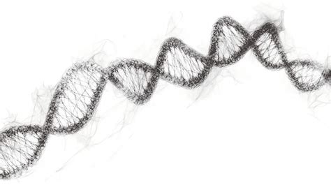 Human Dna String Double Helix Glowing Intricate Biological Genetic