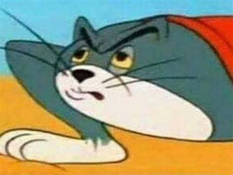 Tom And Jerry Funny Face Meme Jerry Memes Tom And Jerry Funny Tom And Jerry Memes