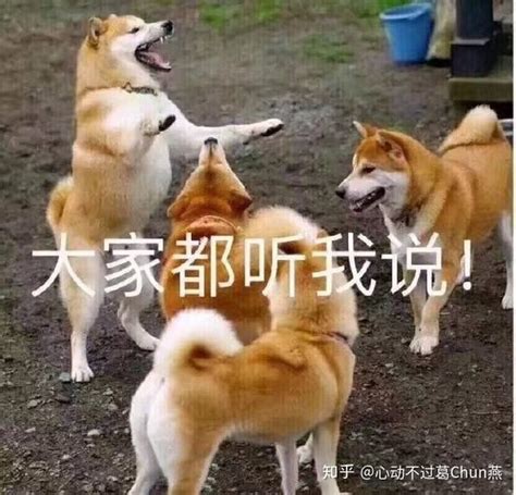 如何追到安徽理工大学18级经济与管理学院漂亮仙女葛小燕 知乎