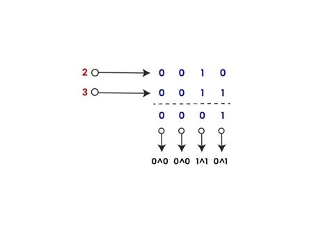 How To Use The Xor Operator In Java