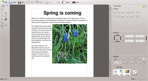Ubuntu Libreoffice Not Working