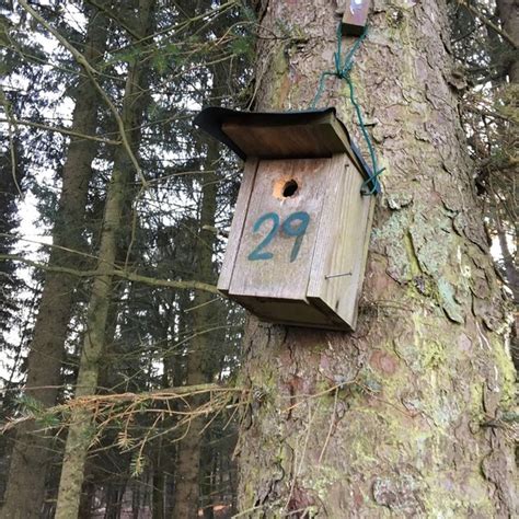 The Hidden Assumption Behind All Numbers Video Realclearscience