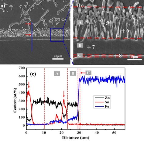 A Magnified Microstructure In Fig 5 A B Magnified Microstructure Download Scientific