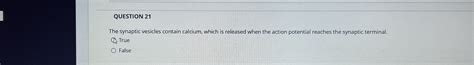 Solved Question 21the Synaptic Vesicles Contain Calcium