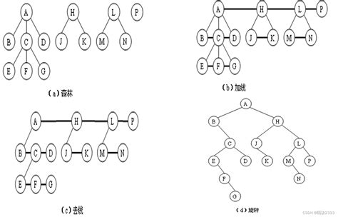 数据结构(超详细讲解!!)第二十五节 树与森林数据结构中后续便利森林的依据 Csdn博客 数据结构(超详细讲解!!)第二十五节 树与森林数据结构中后续便利森林的依据 Csdn博客