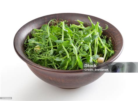 클리핑 경로와 흰색 배경에 고립 된 세라믹 그릇에 완두콩의 신선한 마이크로 그린 0명에 대한 스톡 사진 및 기타 이미지 0명 갈색 건강한 식생활 Istock