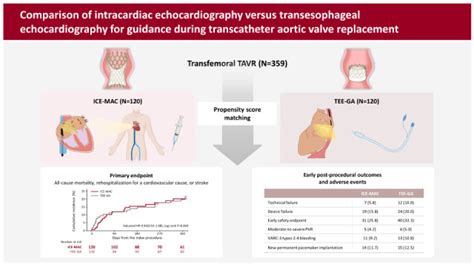 Comparison Of Intracardiac Echocardiography Versus Transesophageal
