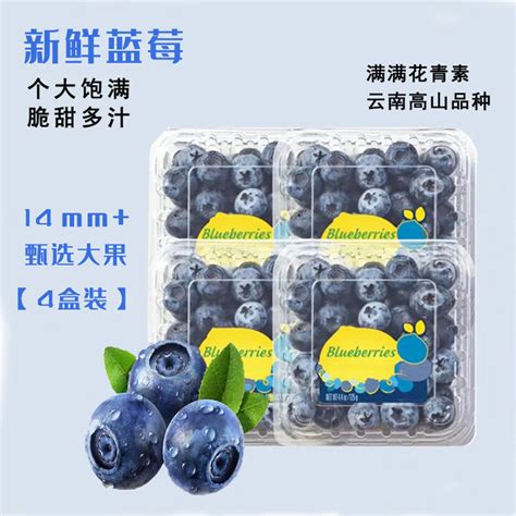 樱鲜云南蓝莓当季国产新鲜水果大果盒装 蓝莓中果125g4盒【14mm】【图片 价格 品牌 报价】 京东