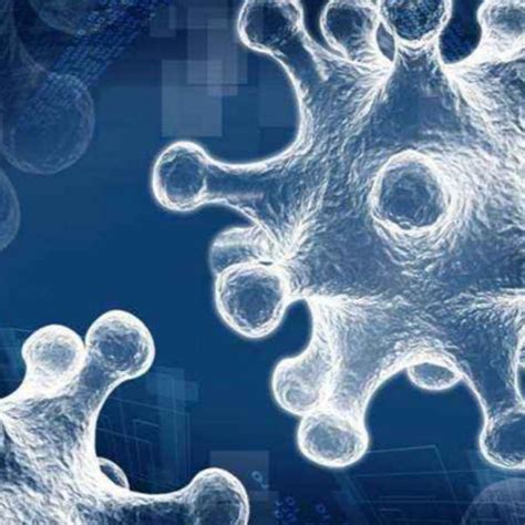 过表达慢病毒构建及包装实验价格 详情介绍 960化工网 960化工网