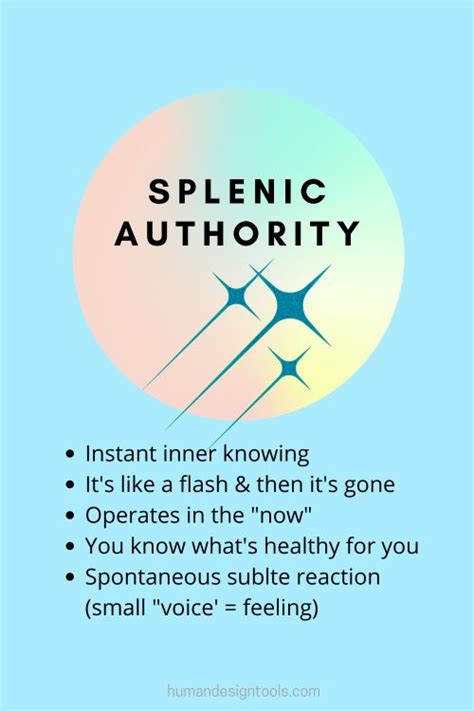 Decision Making Authority And Human Design Human Design Human Design