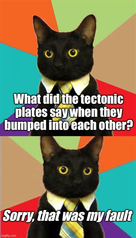 Black Cat Tie Memes