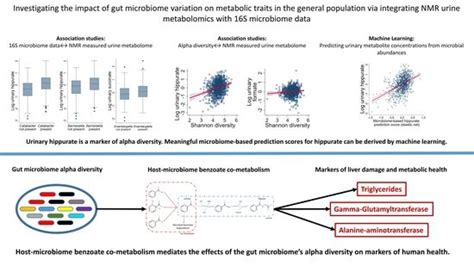Nmr Metabolomics Reveal Urine Markers Of Microbiome Diversity And