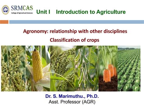 Agronomic Crops Classification Agriculture Ppt