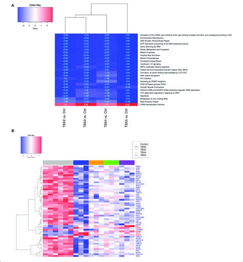 Comparison Of Reactome Pathways A And Gene Expression Data B Download Scientific Diagram