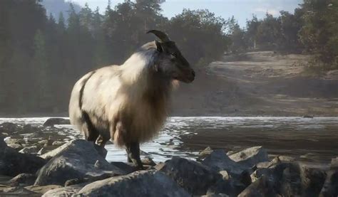 The Hunter Call Of The Wild Update 1 99 Patch Notes The Hunter Cotw 8 3 1