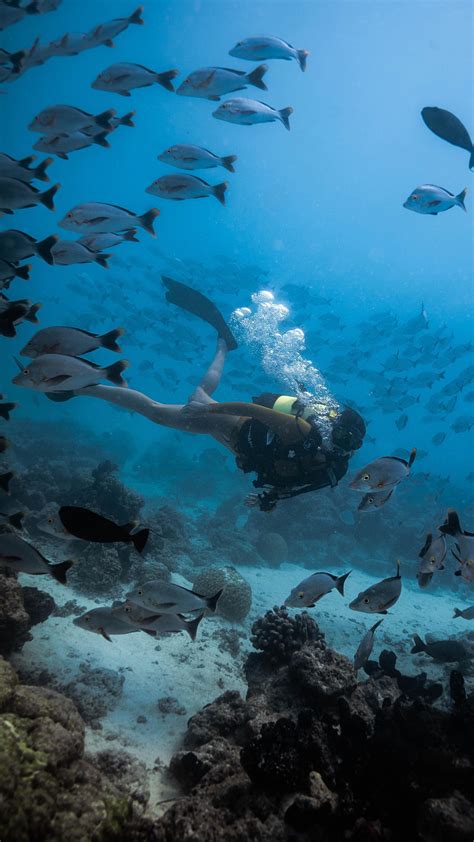 Sorelle Amore Ethical Investor Best Selling Author Youtuber Artist