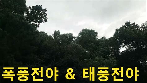 태풍 폭풍전야태풍오기전 바람 Youtube