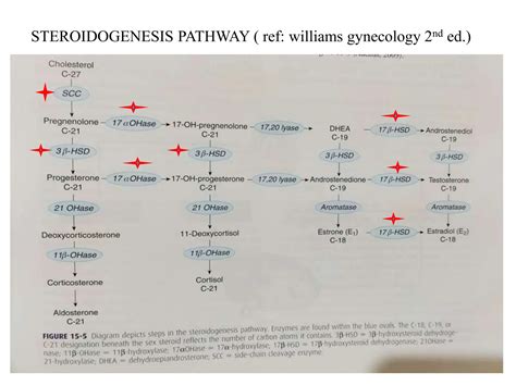 Disorders Of Sex Development Dsd Defination Classification Cah Ais Turners Syndrome