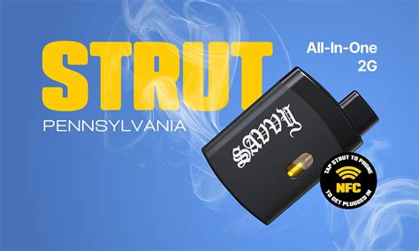 The Savvy Strut 2g All In One Maximum Flavor And Output