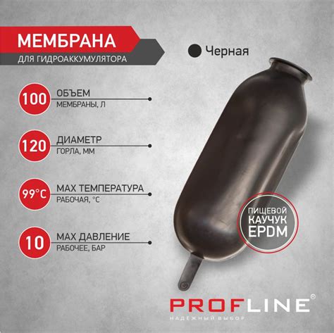 Мембрана для гидроаккумулятора 100л (черная) PROFLINE - купить по ...