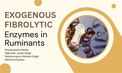 Exogenous Fibrolytic Enzymes In Ruminants Sr Publications