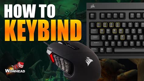 Keybind Like A Pro Wow Pve Keybinding Guide Youtube
