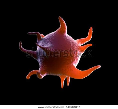 3d Rendering Activated Platelets Stock Illustration 640984852