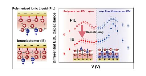 Ionoelastomers At Electrified Interfaces Differential Electric Double Layer Capacitances Of