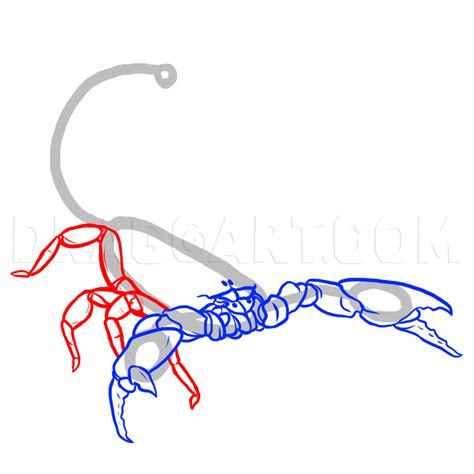 How To Draw Scorpions Step By Step Drawing Guide By MichaelY Dragoart Com Guided Drawing