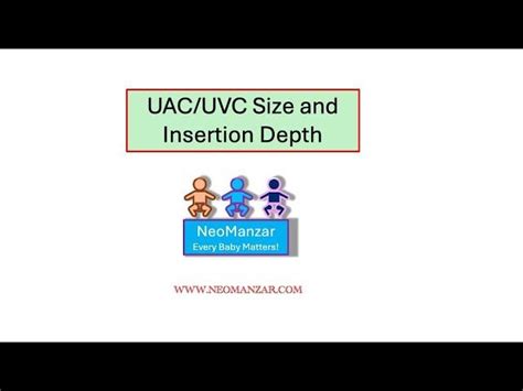 Uac Uvc Size And Insertion Depth Neonate Shabih Manzar Md Mph
