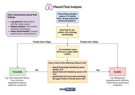 Pleural Effusion Culture Chart Xpztmw