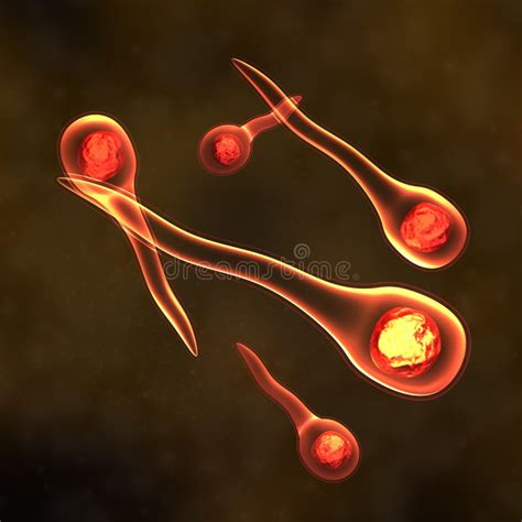 Tetanus Bacteria Stock Illustration Illustration Of Bacterium 11898406