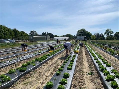 Allscripts On Linkedin Giveback