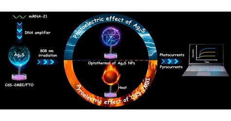 Pyroelectric Effect Assisted Near Infrared Driven Photoelectrochemical