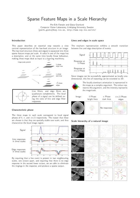 pdf sparse feature maps in a scale hierarchy