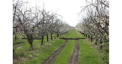 Колко е земята в страните от ЕС и колко струва Български Фермер