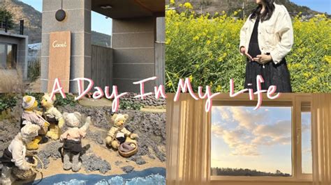 Vlog 임신 23주차 제주 태교여행 1일차🍊 제주여행코스 제주맛집 감성숙소 Youtube