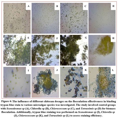 Biosciences Biotechnology Research Asia On Linkedin Bioflocculation Chitosan Harvesting