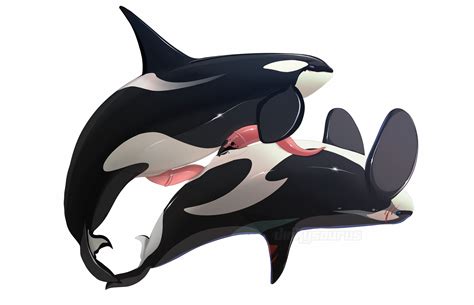 Rule 34 Anal Anal Sex Animal Genitalia Animal Penis Cetacean Cetacean