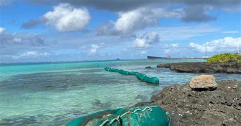 천상의 섬 모리셔스 주민들이 대형 사탕수수 자루를 만든 이유