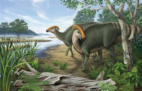 Parasaurolophus Artwork By Danielle Dufault Prehistoric Wildlife