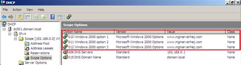 Microsoft Vendor Specific Dhcp Options Explained And Demystified Ingmar Verheij