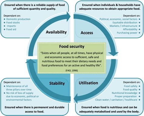 Food Security Public Health Notes