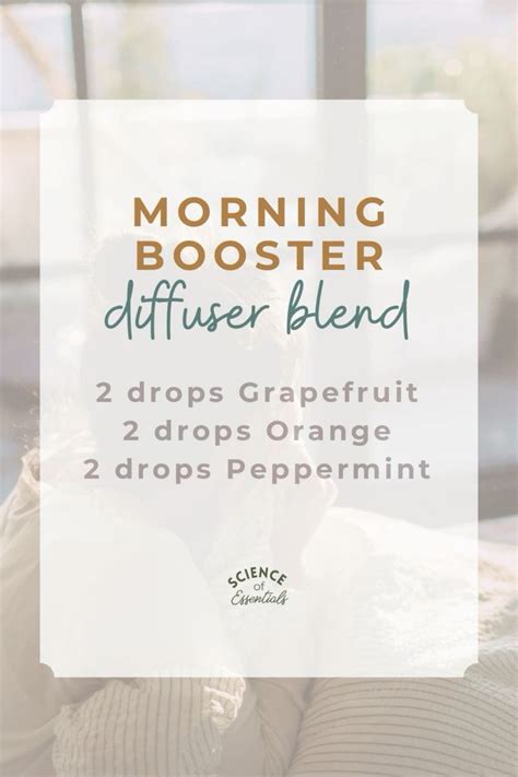 Science Of Essentials Best Blends Book Etsy Essential Oil Diffuser