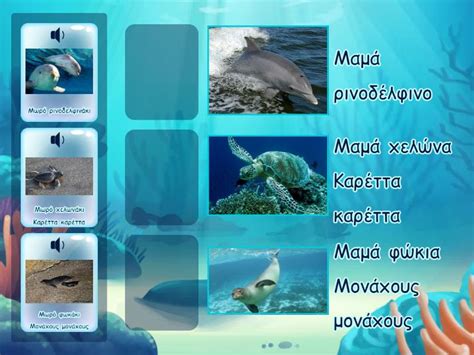 ΠΡΟΣΤΑΤΕΥΟΜΕΝΑ ΘΑΛΑΣΣΙΑ ΕΙΔΗ ΚΑΙ ΤΑ ΜΩΡΑ ΤΟΥΣ Match Up